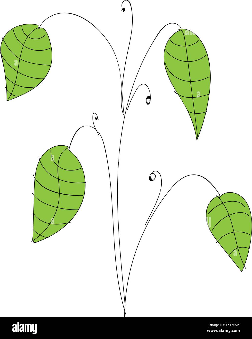 Cartoon big leafe plant vector illustration on white background Stock ...