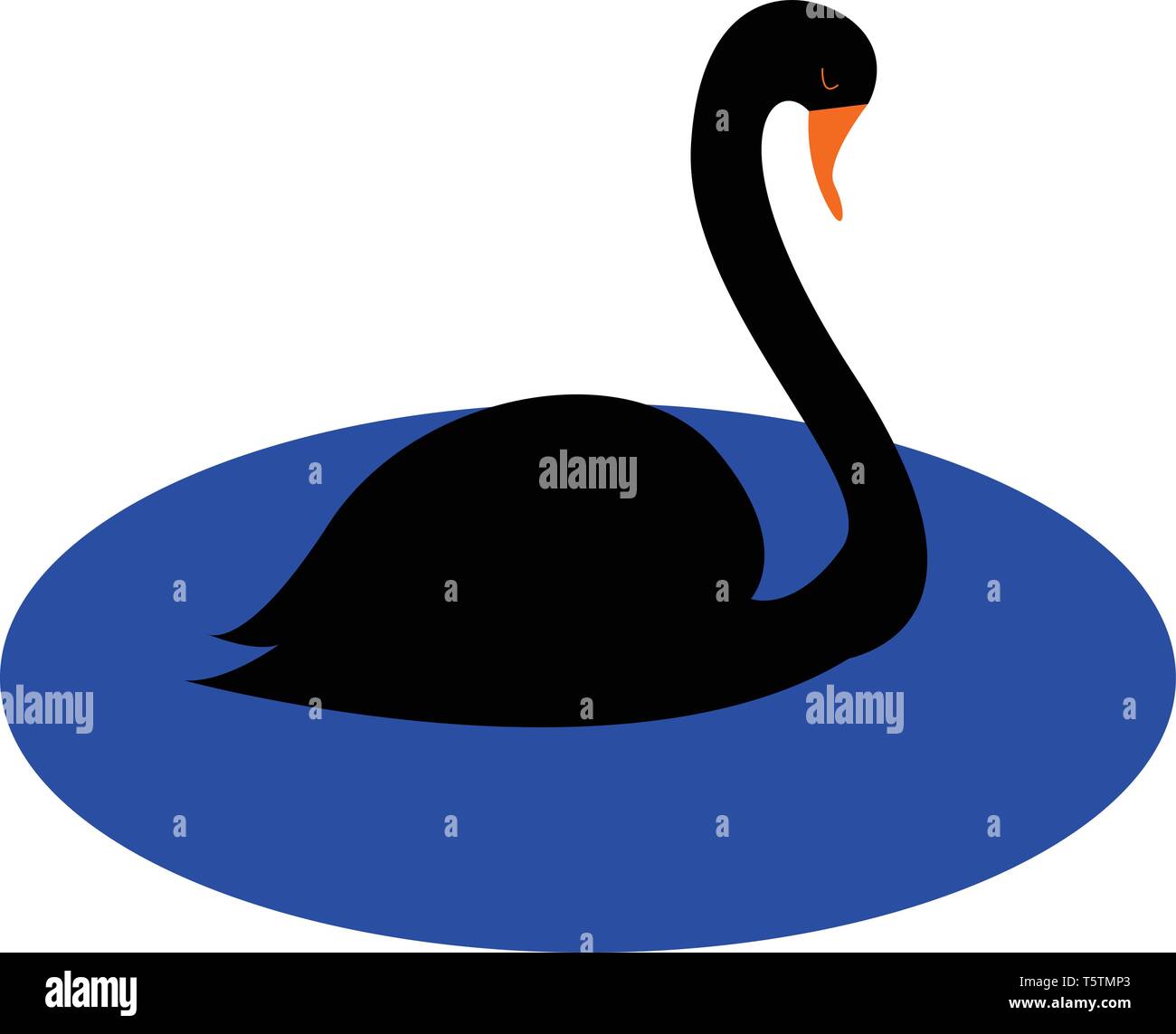 Black swan realistic drawing hi-res stock photography and images - Alamy