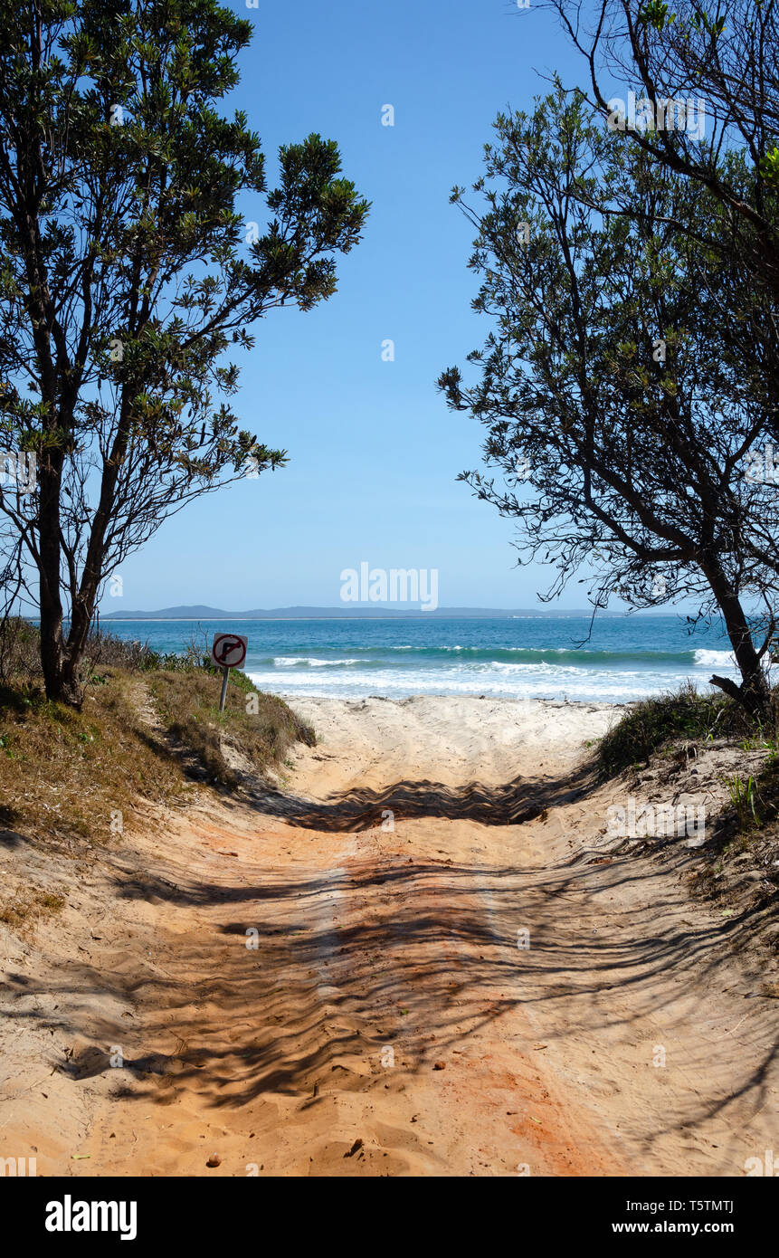 Shark Bay, near Iluka, New South Wales, Australia Stock Photo - Alamy