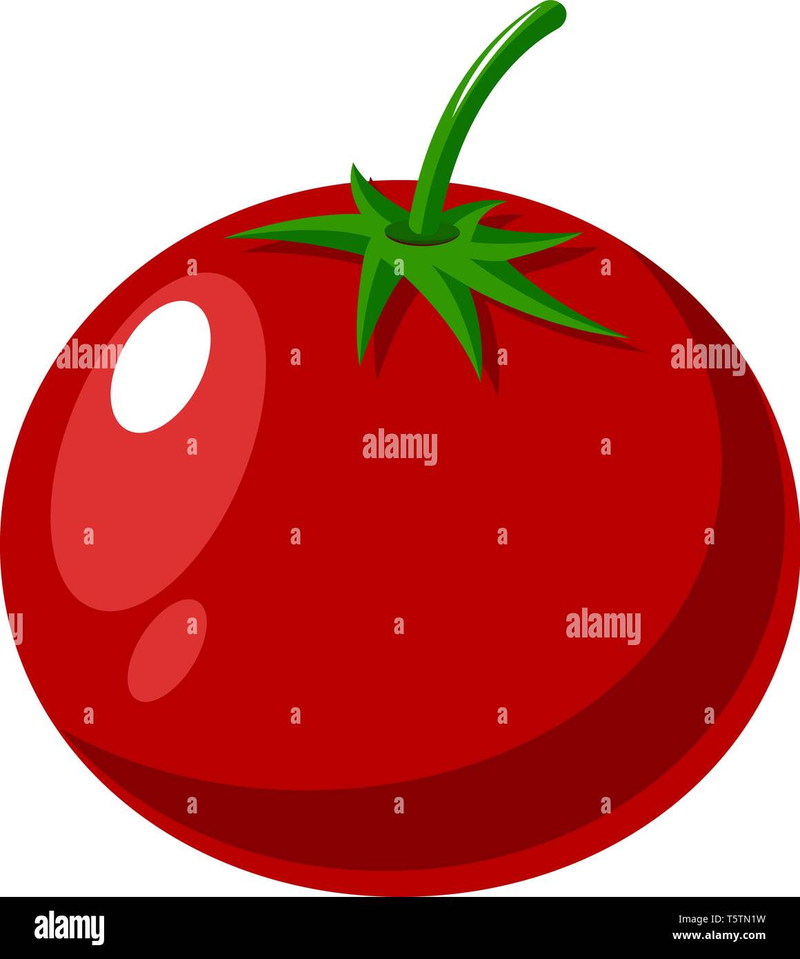 A Red Tomato with a green stem to hold, vector, color drawing or ...
