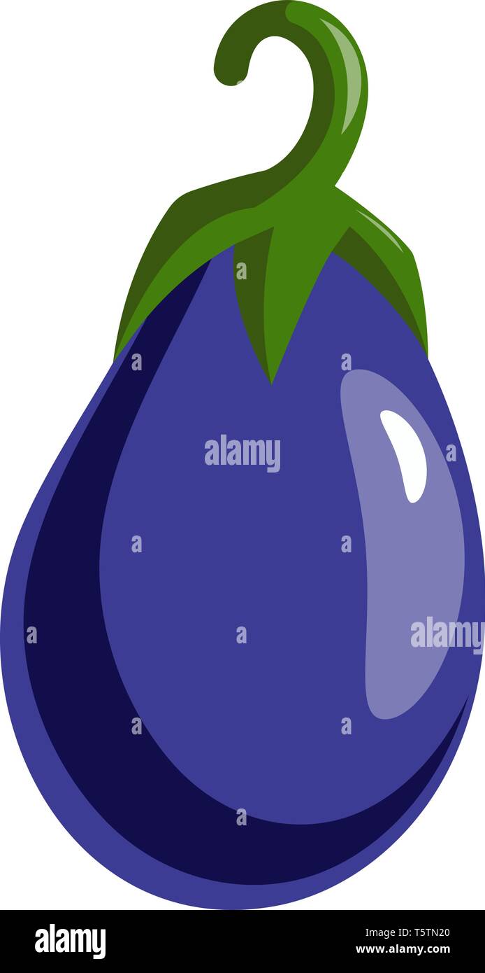 Brinjal Drawing