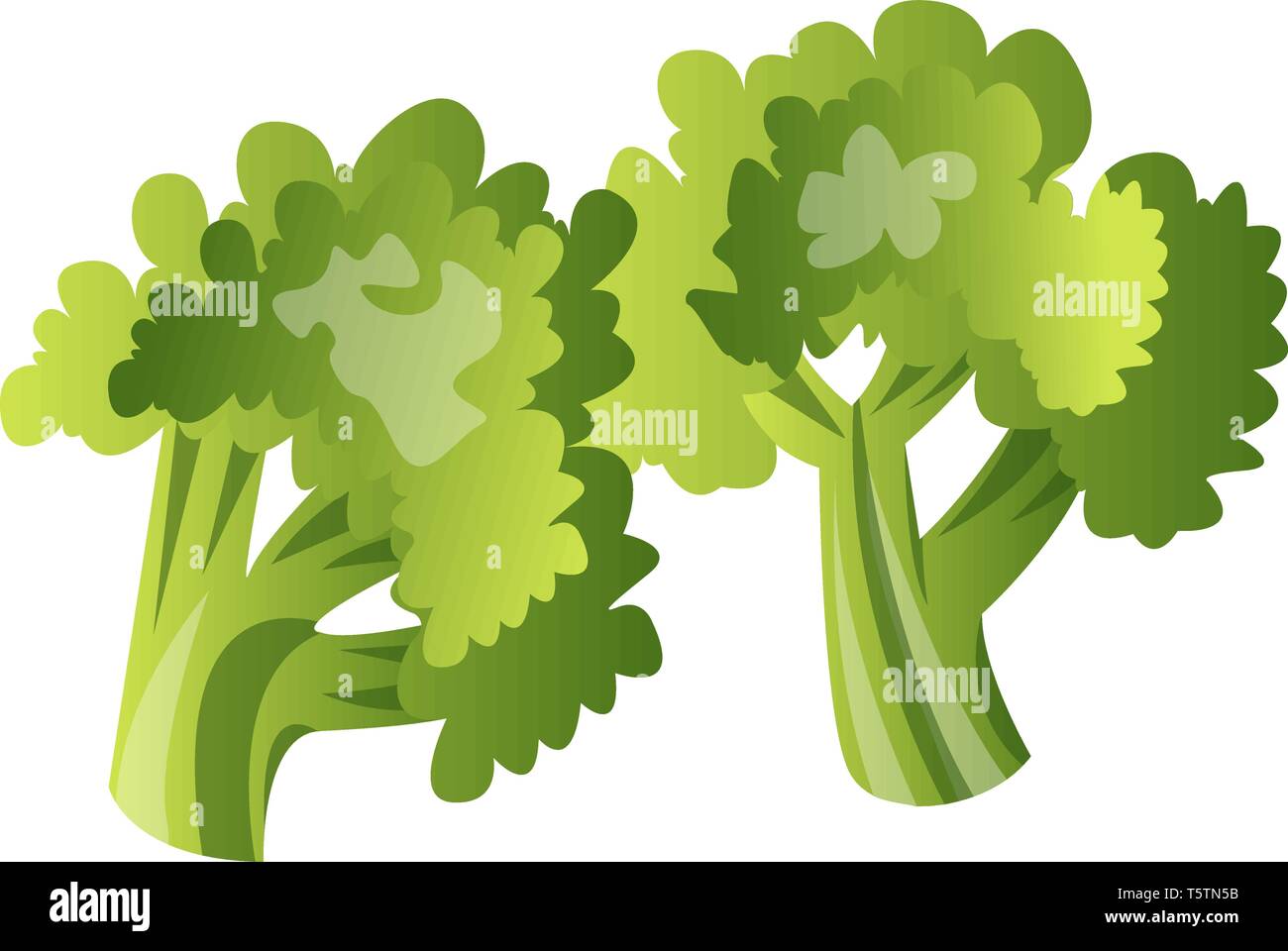 Two trees in green color with three branches in each tree, vector ...