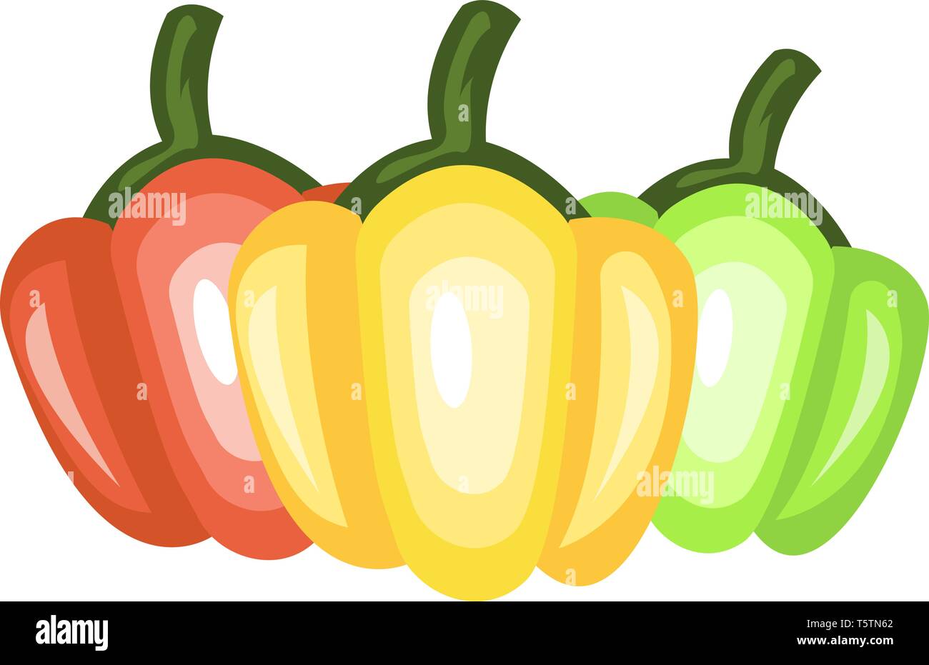 Three Capsicums in green Yellow and red colors with green stems vector ...