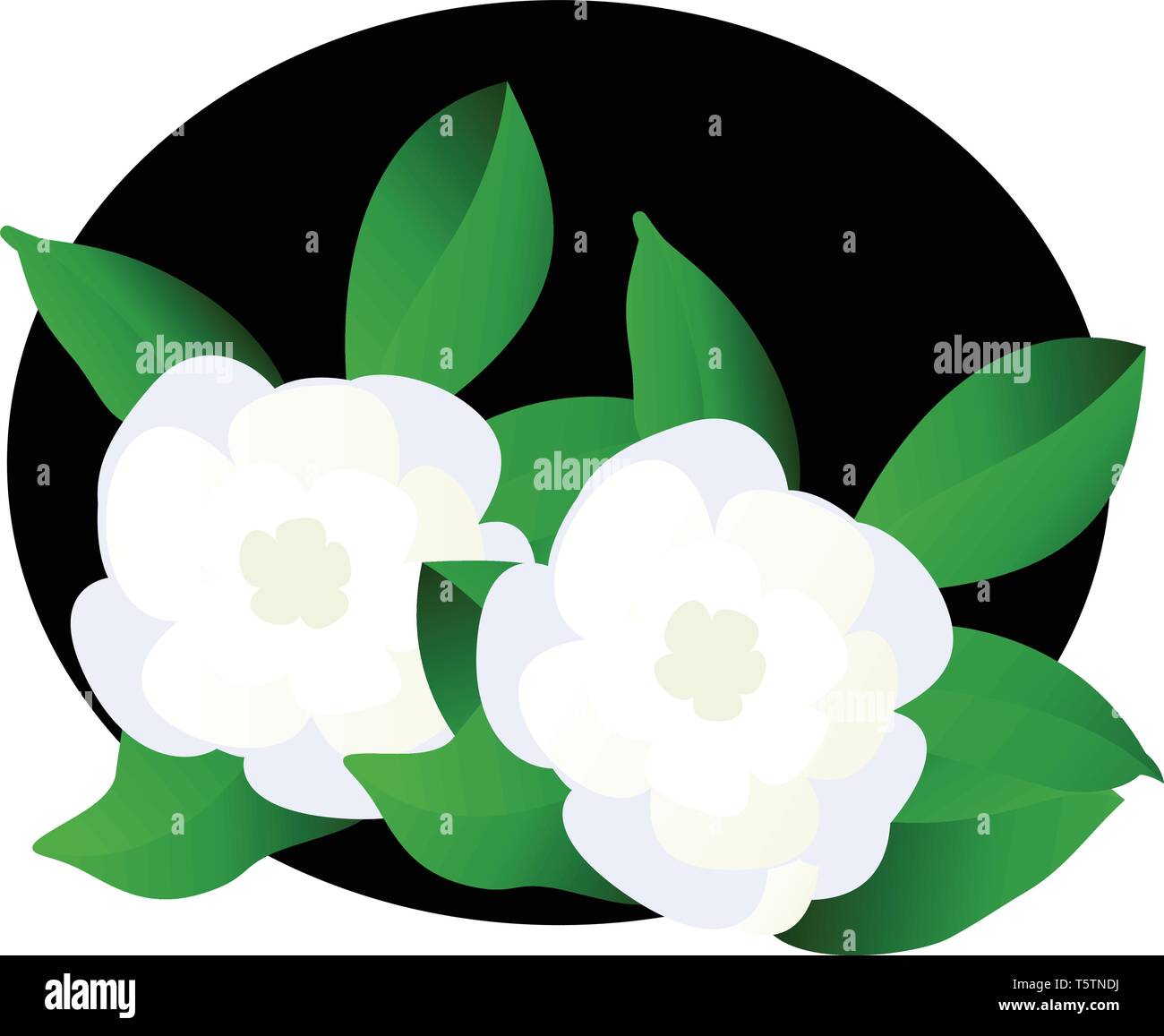 Natural circle of flowers Stock Vector Images - Alamy