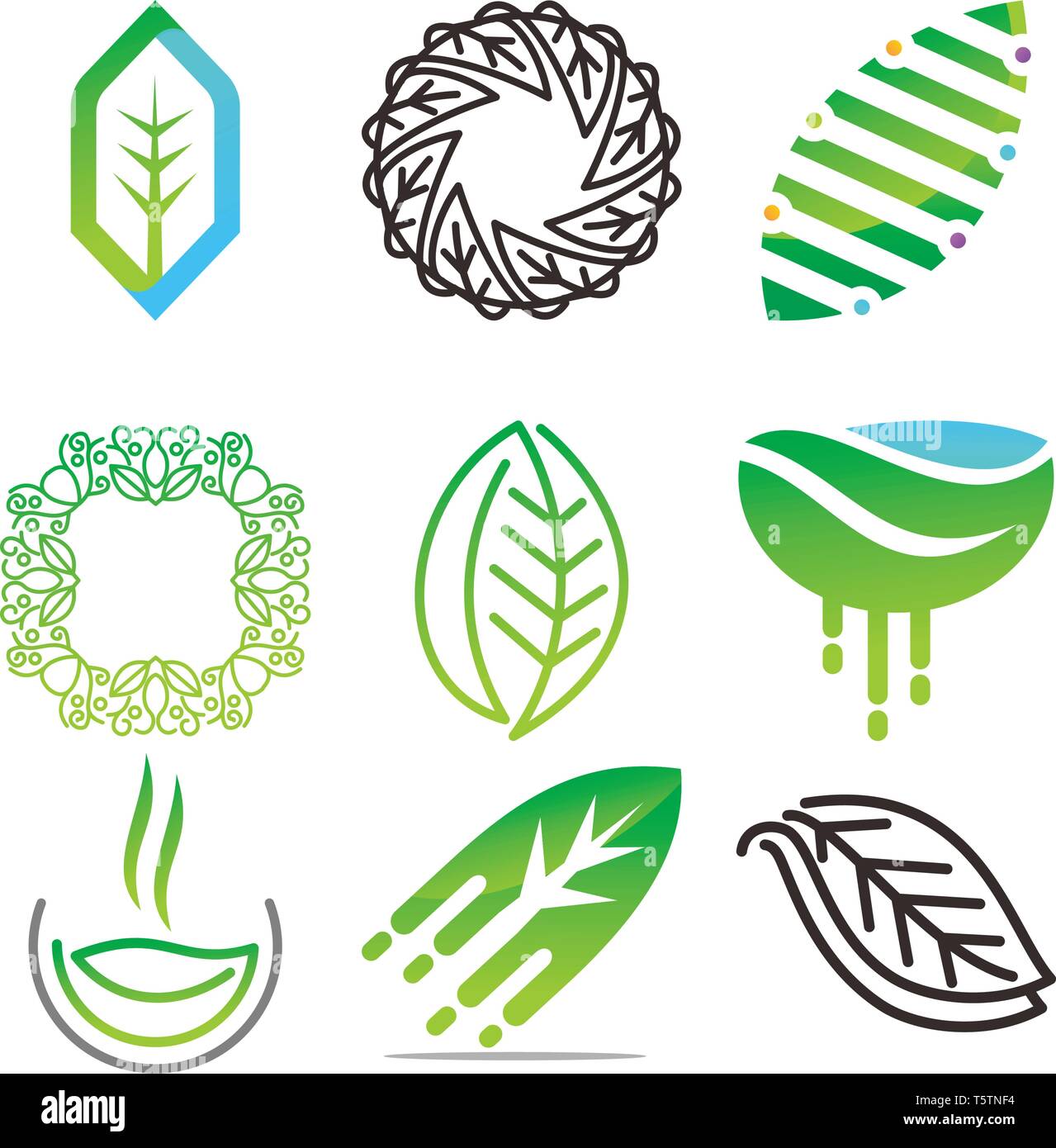 Leaf Logo Design Vector Template Set Stock Vector Image & Art - Alamy