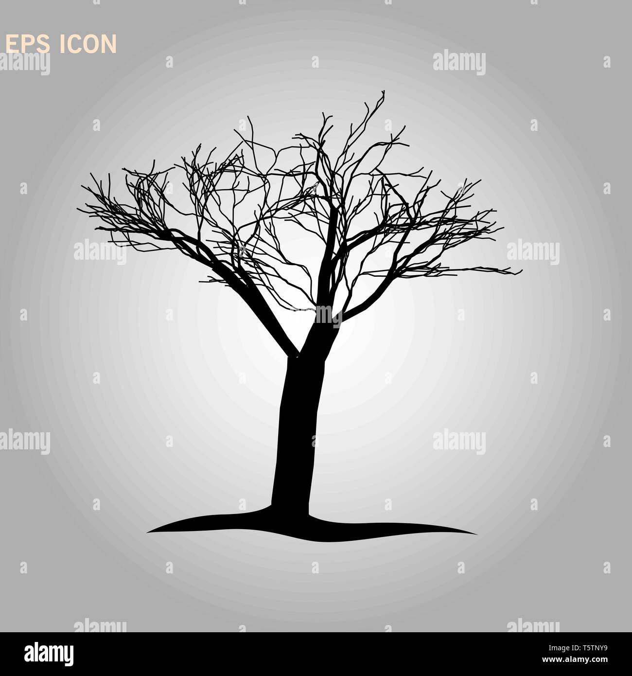 Norway maple architectonics. The structure of the tree branches and ...