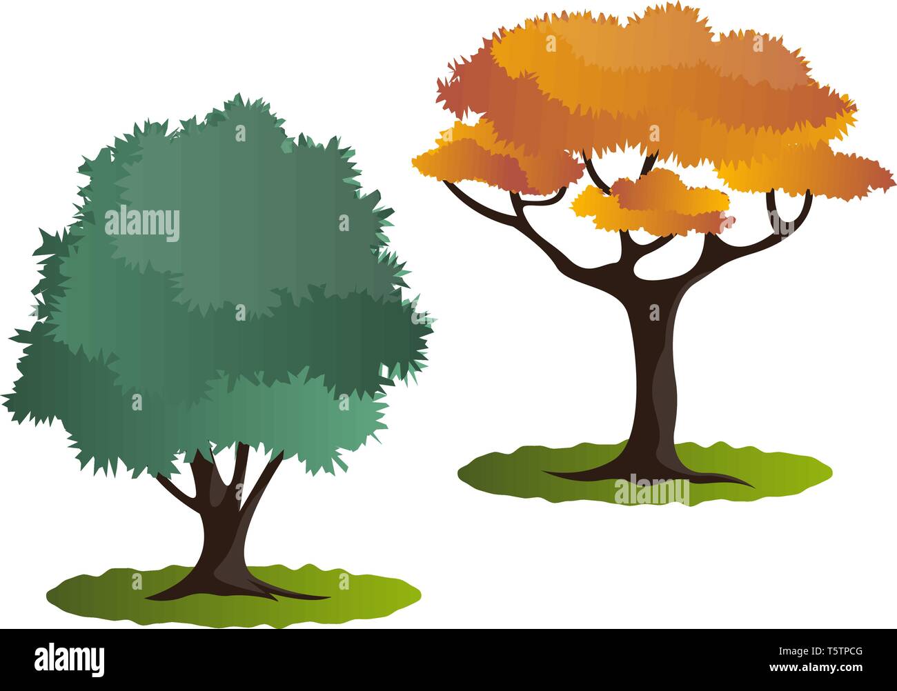 Two autumn tree vector illustration on white background Stock Vector ...