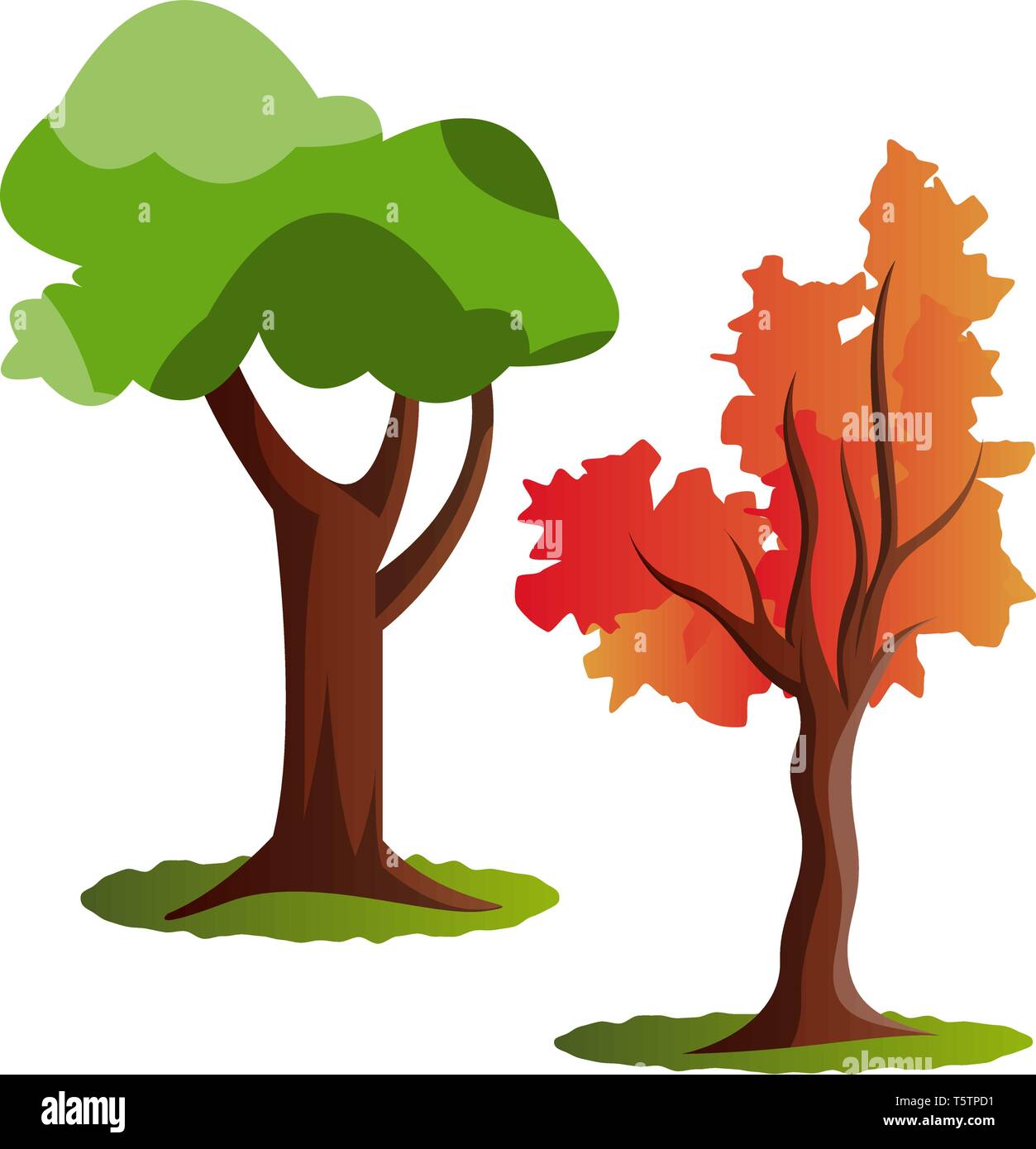 Two autumn tree vector illustration on white background Stock Vector ...