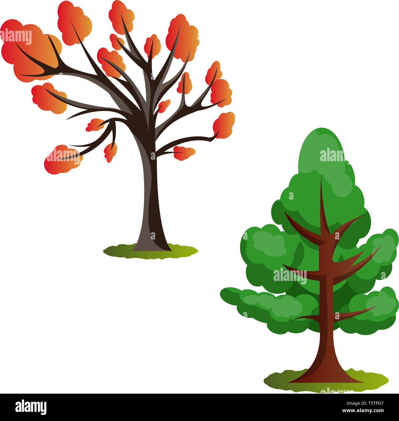 Two autumn tree vector illustration on white background Stock Vector ...