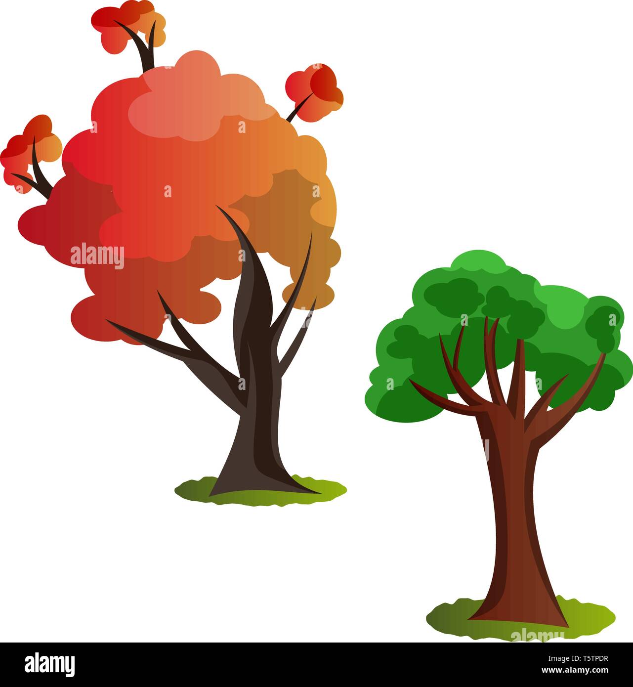 Two autumn tree vector illustration on white background Stock Vector ...