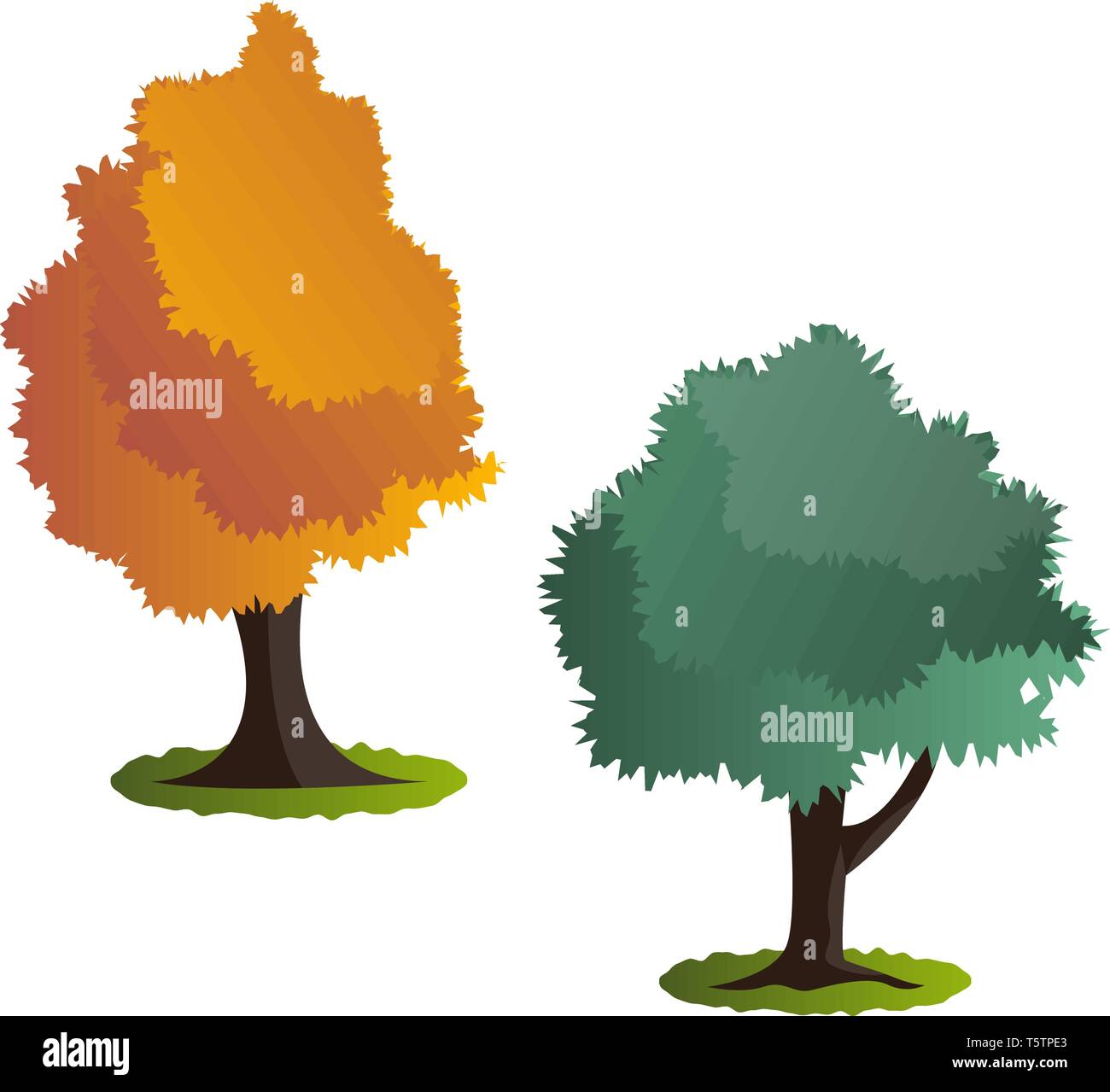 Two autumn tree vector illustration on white background Stock Vector ...