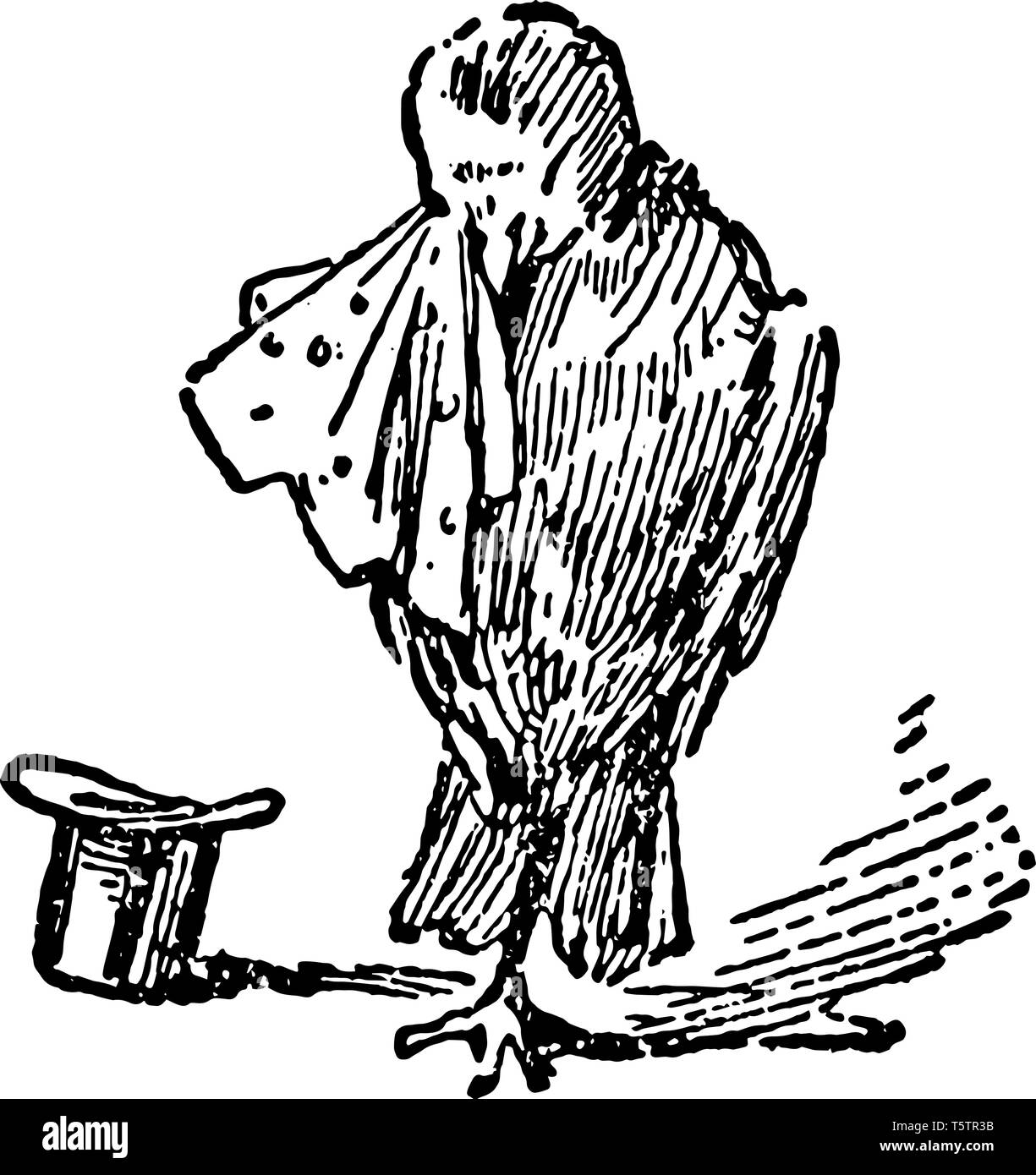 Bird tears Stock Vector Images - Alamy