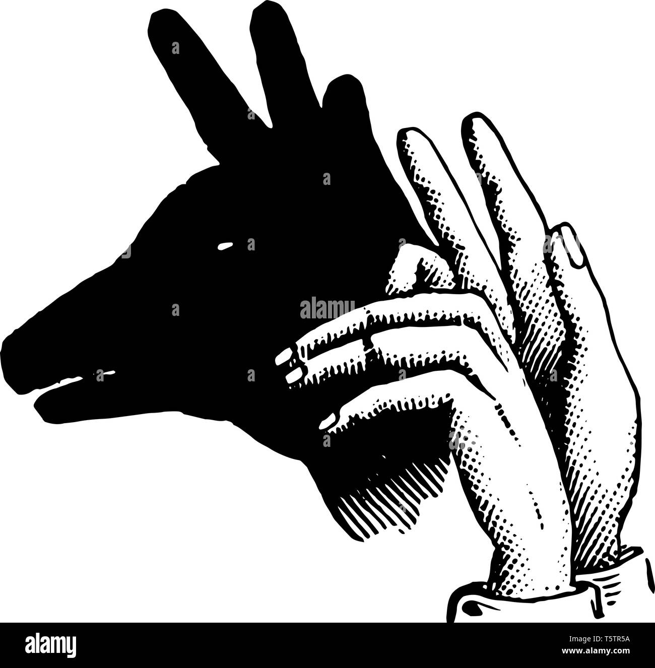 This picture represents are Hand to shadow of Reindeer vintage line ...