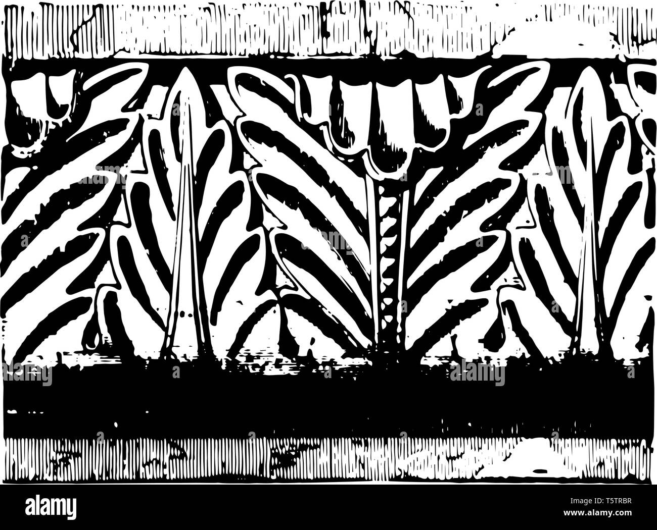 Acanthus Molding from Munzenberg dramatic and elegant ample room ...