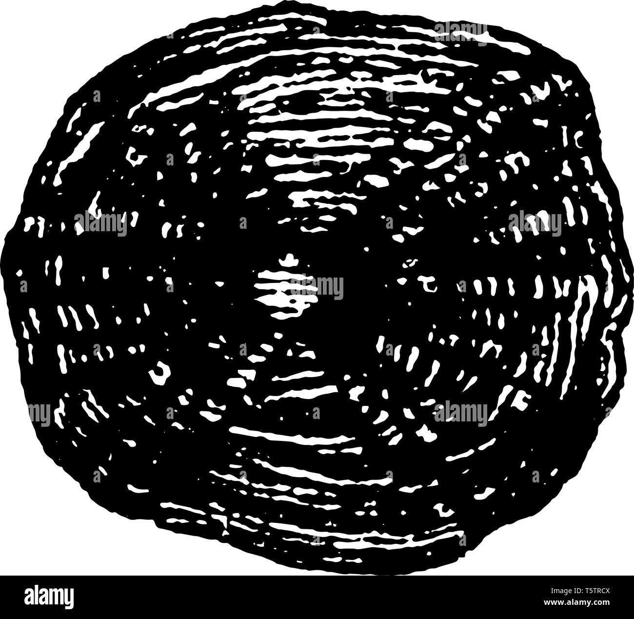 Cycloid scale Stock Vector Images - Alamy