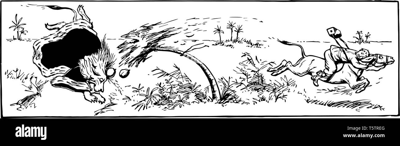 Lion Being Hit by Palm Tree & Photographer Riding Away on a Horse, this ...
