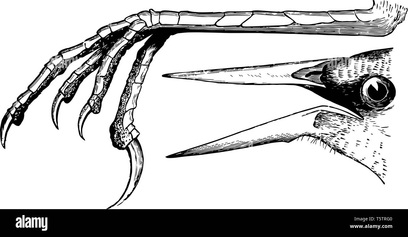 Foot the bill Stock Vector Images - Alamy