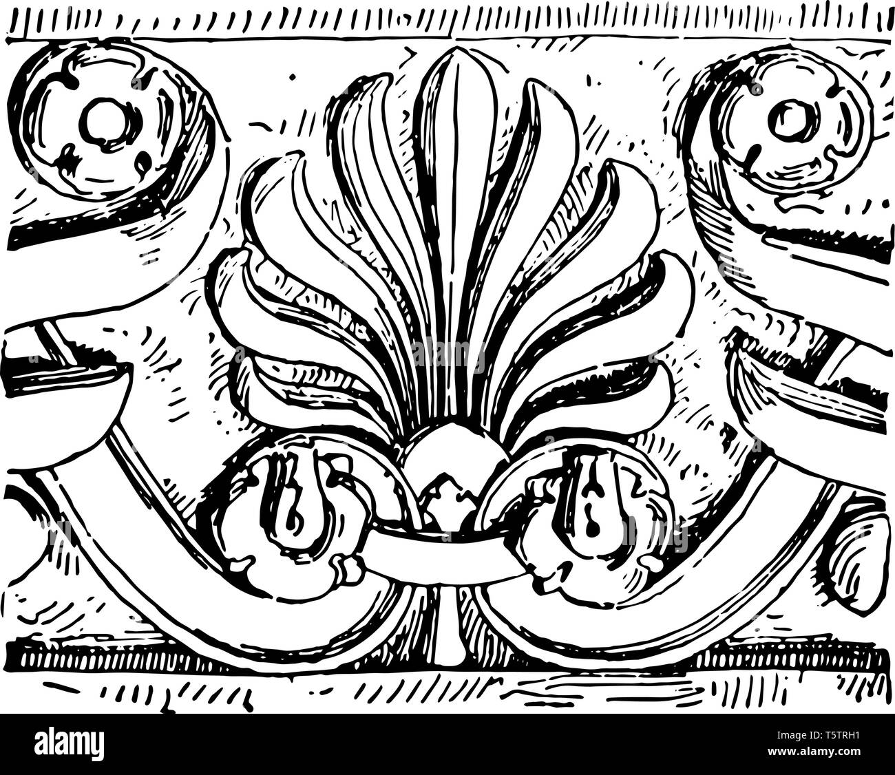 Anthemion have long leaves pattern in this design vintage line drawing ...