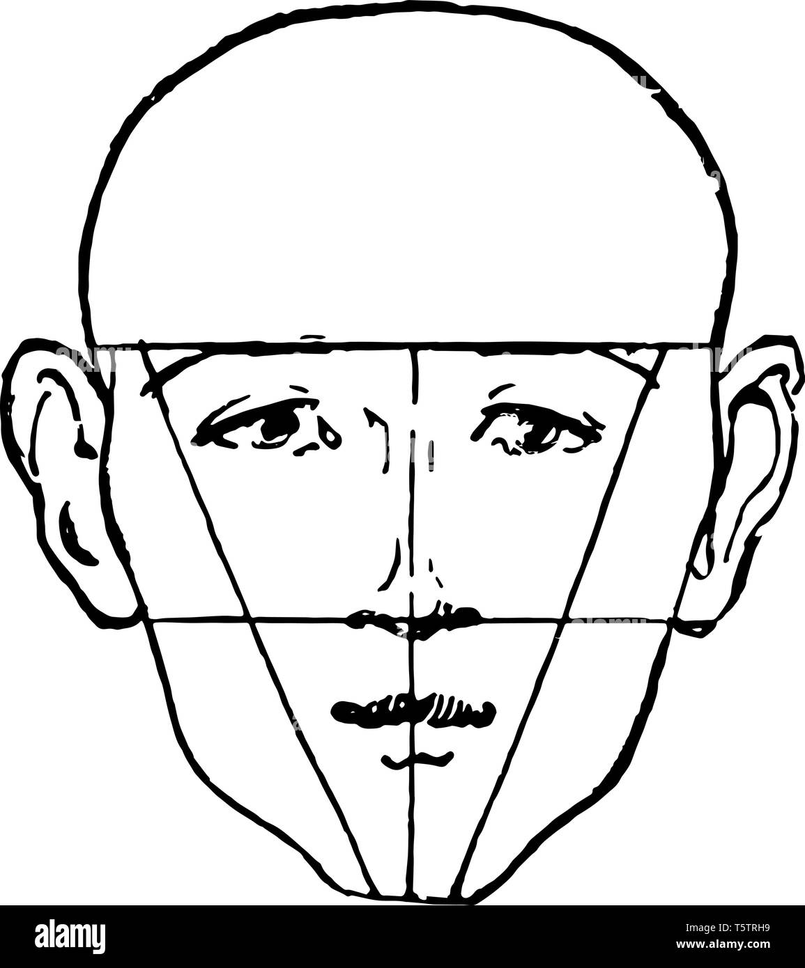 Bald head Stock Vector Images - Alamy