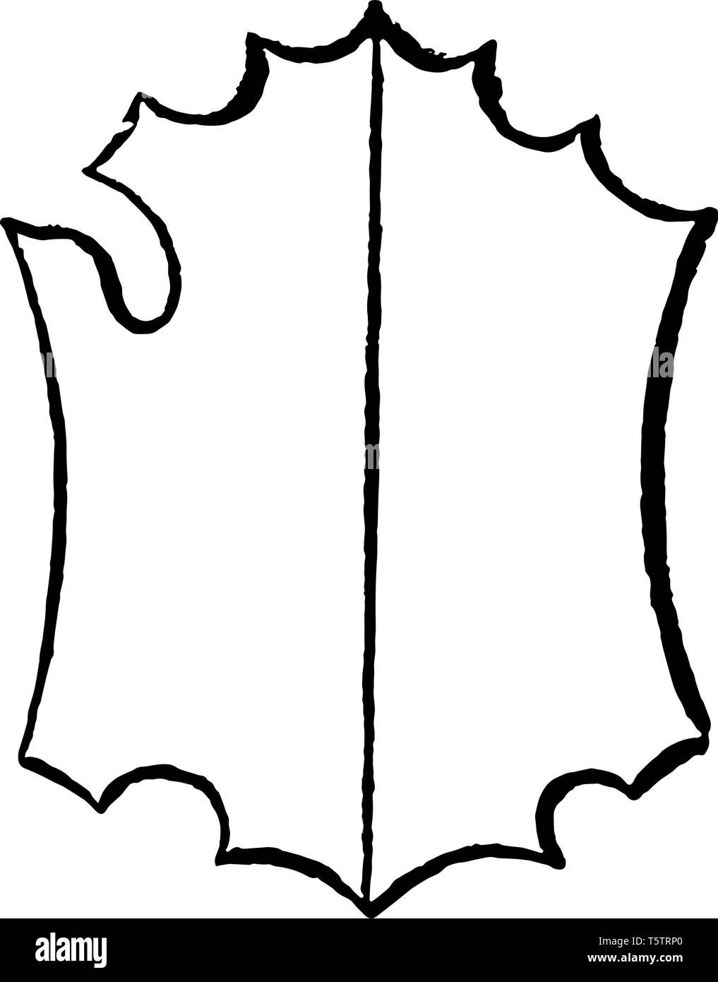 Ornate Bouche Shield with a decorative trim and a per pale division ...