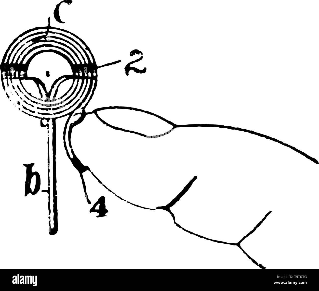 This illustration represents function of Spiral Conducting Coil vintage ...