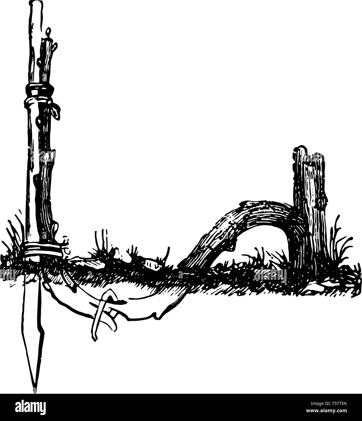 This illustration represents Layering which is a method of Plant ...