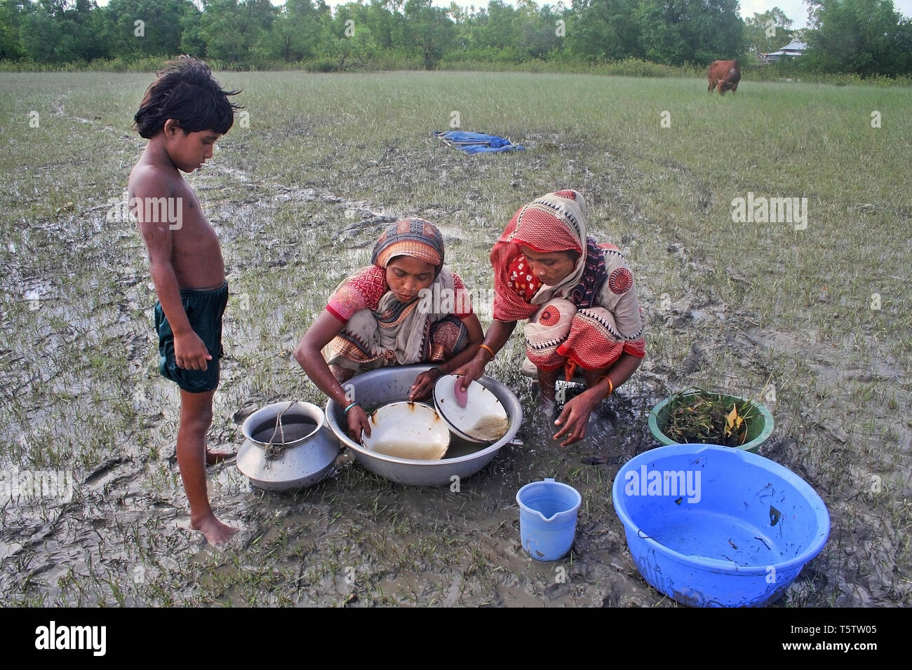 Children catching prawns on the bank of the river Andharmanik, Kalapara ...