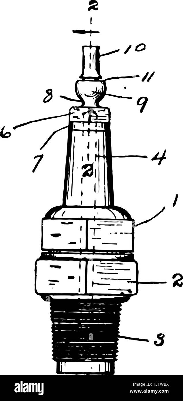 This illustration represents Attachment Terminal vintage line drawing ...