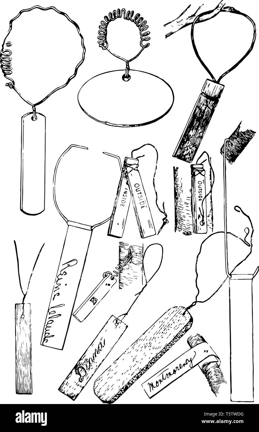 This illustration represents various types of Tree Labels vintage line ...