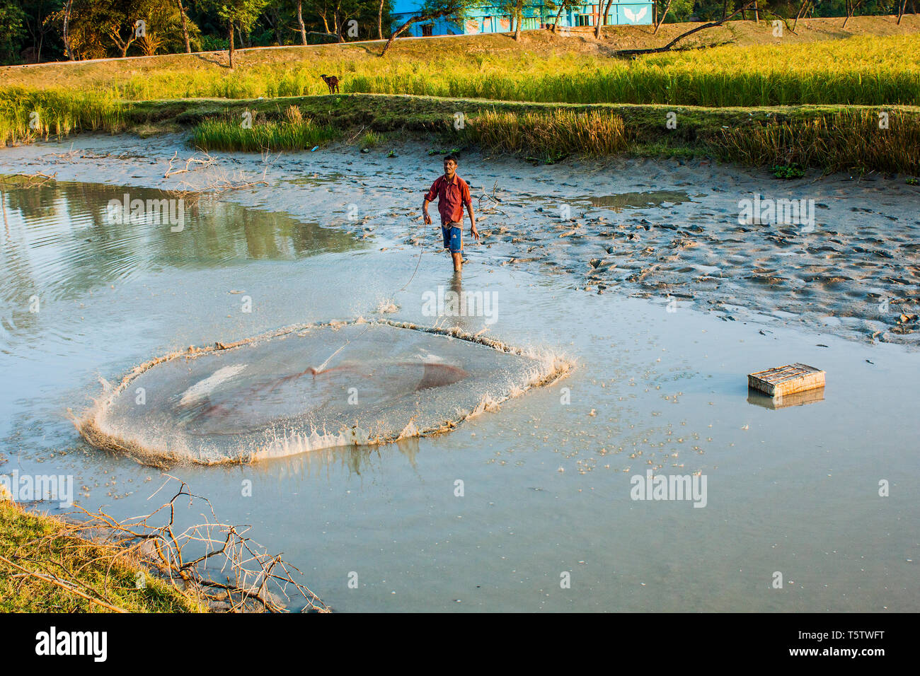 Bangladeshi fishermen fishing hi-res stock photography and images - Alamy