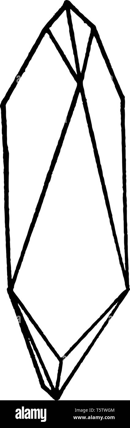 This diagram represents Gold vintage line drawing or engraving ...