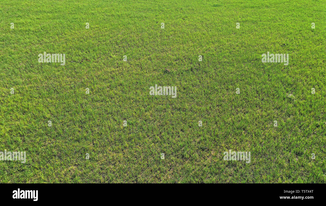 Putting green top view hi-res stock photography and images - Alamy