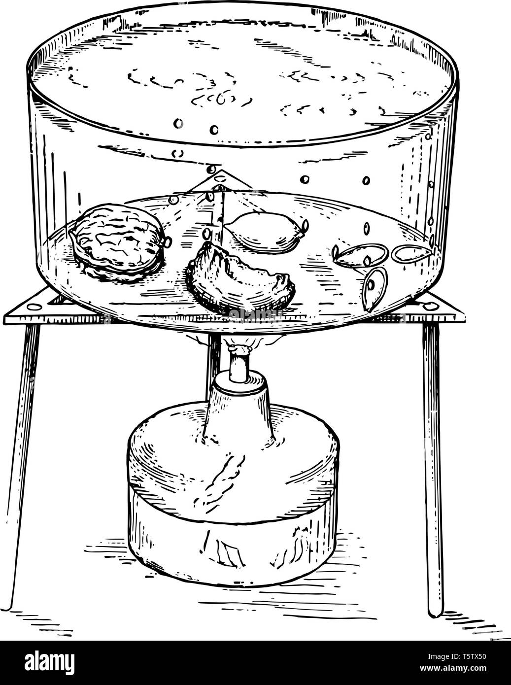 This illustration represents Hot Water where seeds that are placed in ...