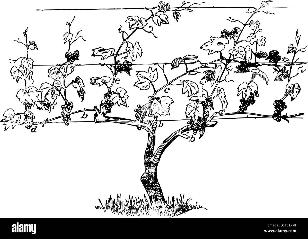 This illustration represents Horizontal Arm Spur System and depicting ...