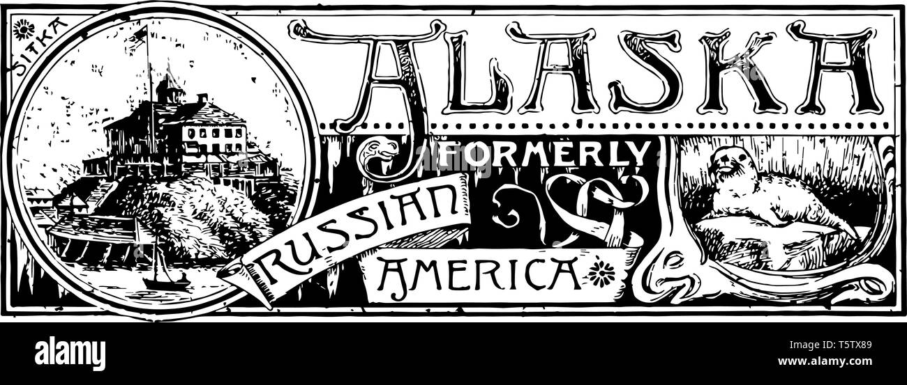 The state banner of Alaska this banner has one state house and waving ...