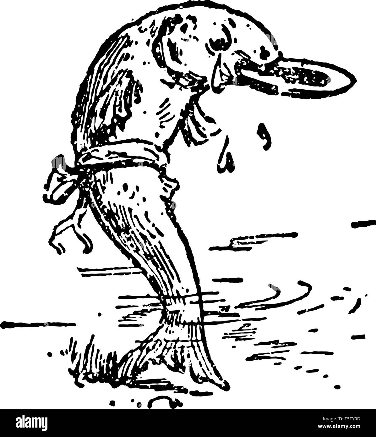 Something in mouth Black and White Stock Photos & Images - Alamy