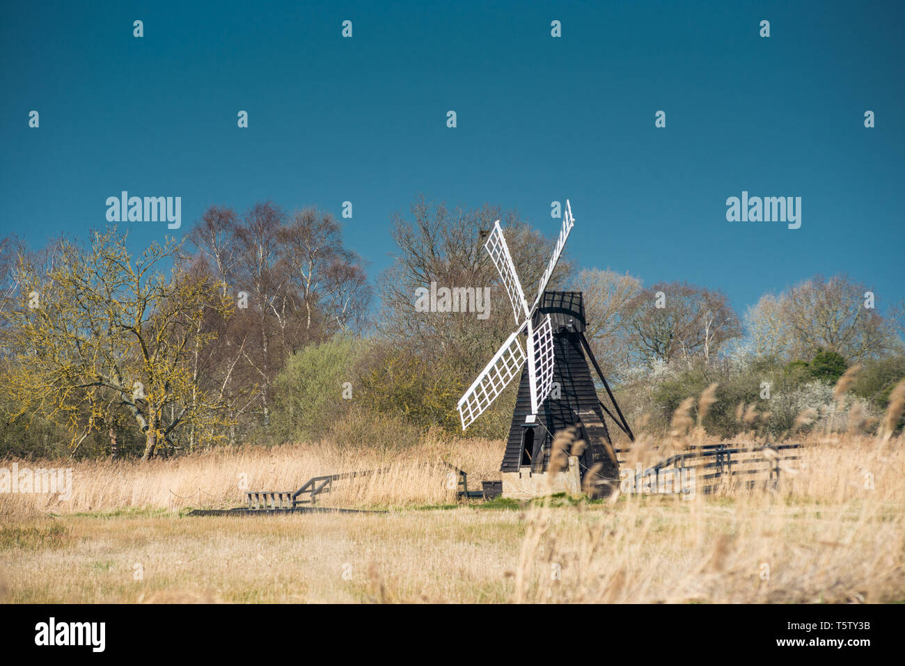 Fens landscape view england uk hi-res stock photography and images - Alamy