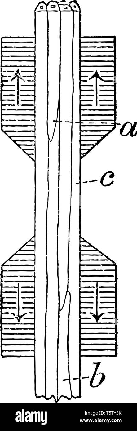 This illustration represents Behavior of Fibers in Tension Test vintage ...