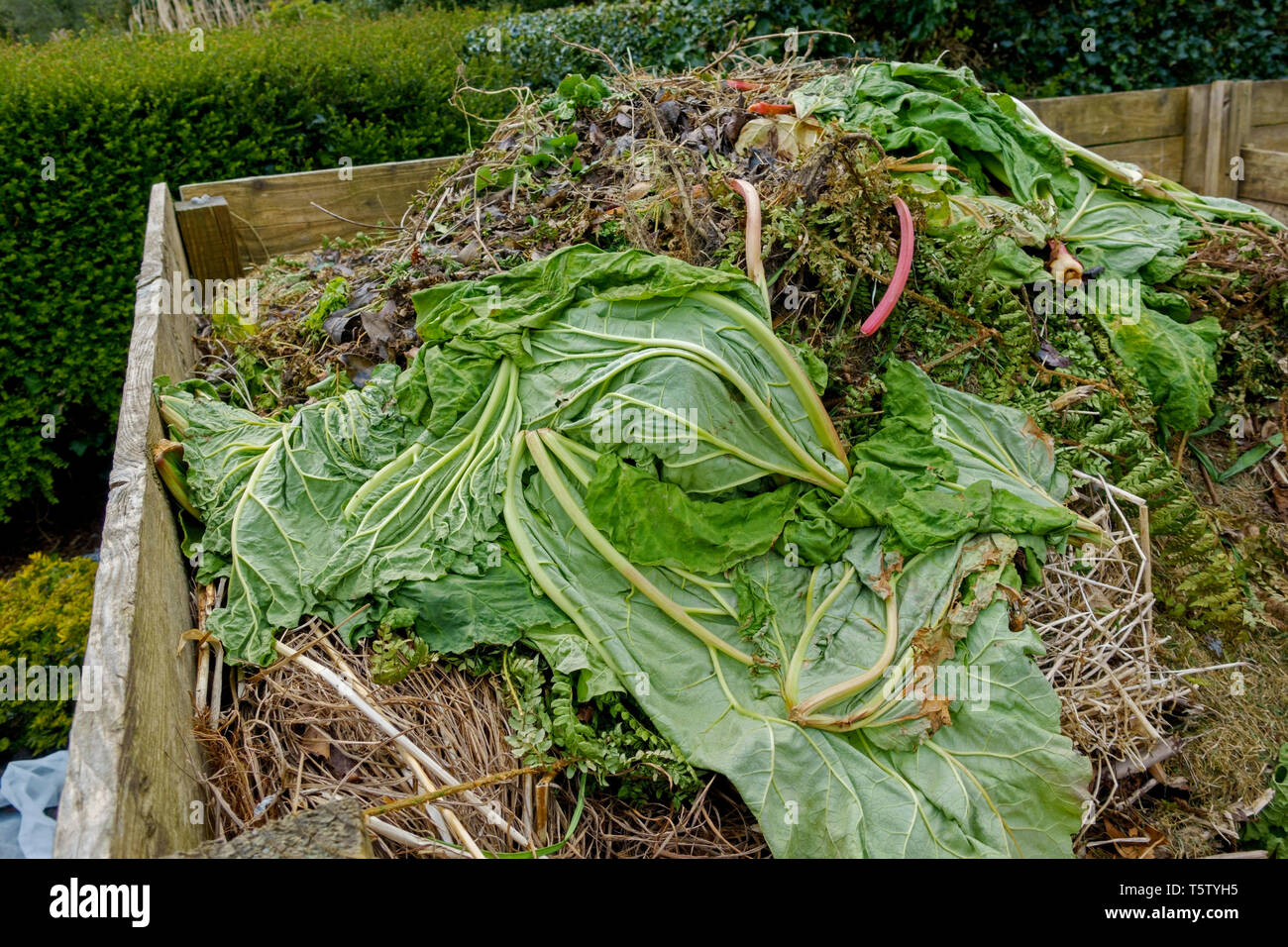 Garden waste bin hi-res stock photography and images - Alamy