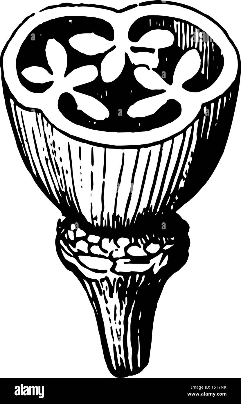 Cross engraving cut Black and White Stock Photos & Images - Alamy