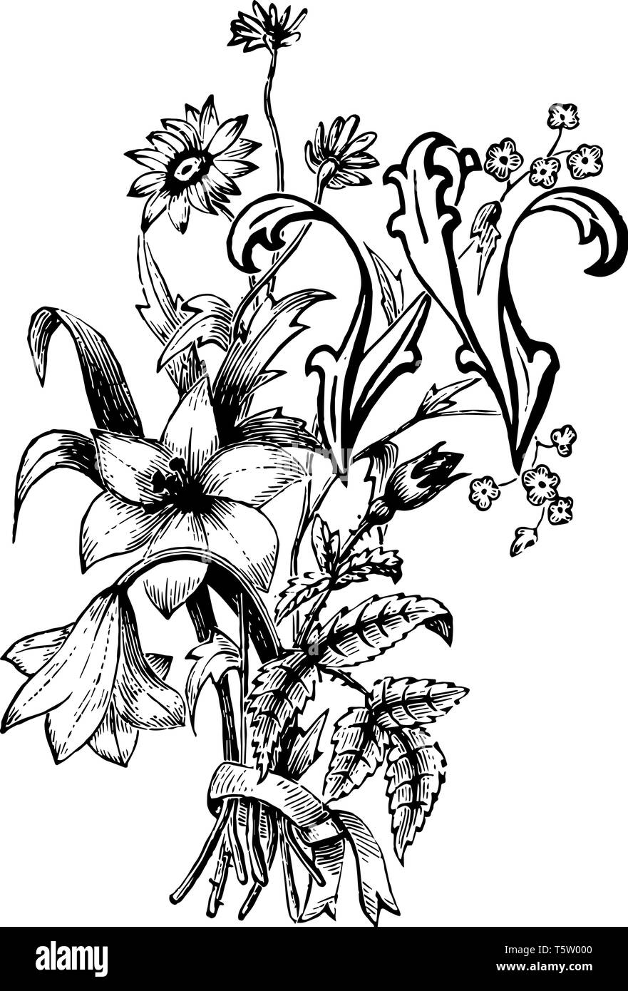 Capital Letter W with a floral pattern surrounding it, vintage line ...