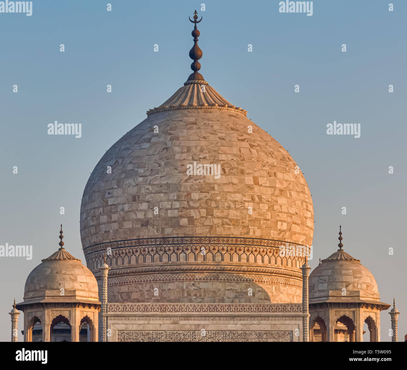 The Famous Taj Mahal dome, India Stock Photo - Alamy