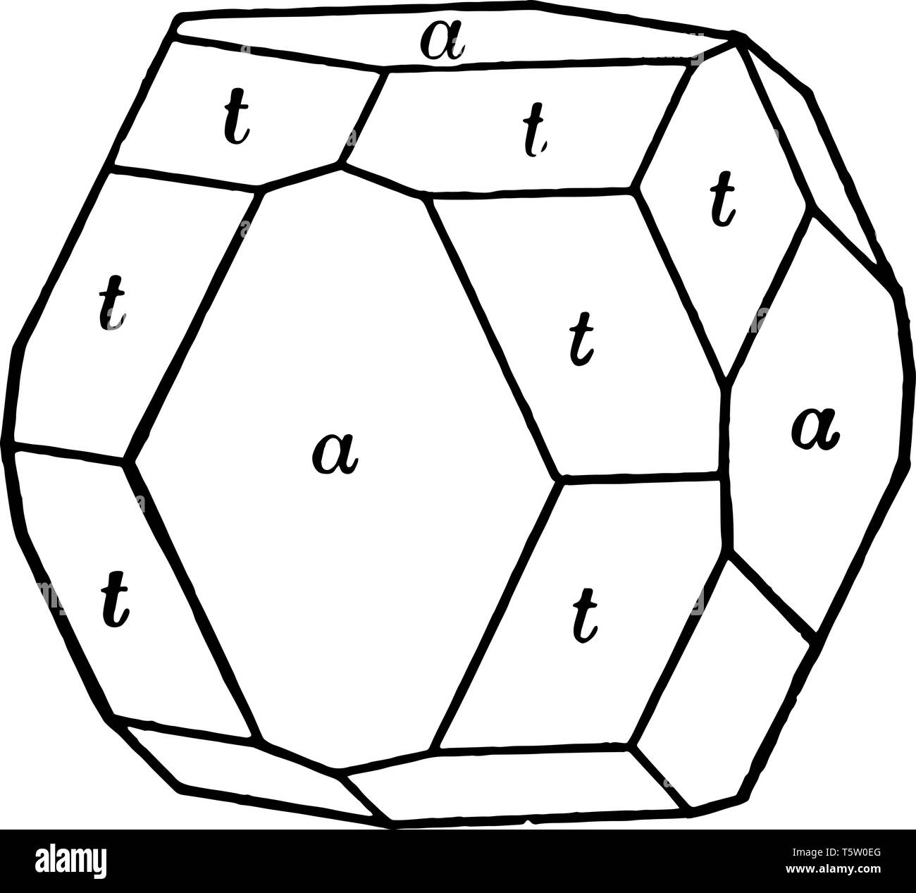 A diagram showing a combination of diploid and cube, vintage line ...