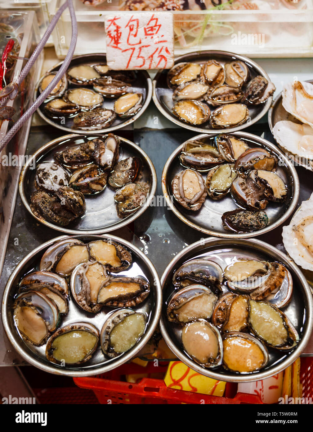 Threadfin salmon hi-res stock photography and images - Alamy