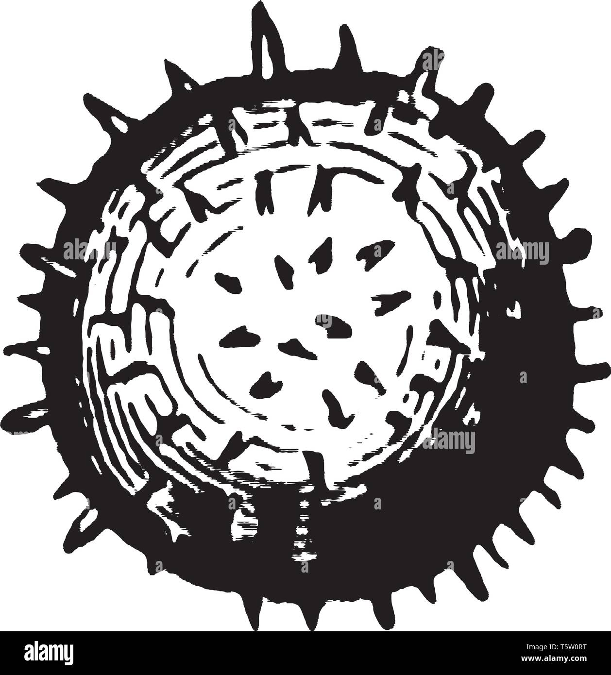 Male pollen Stock Vector Images - Alamy