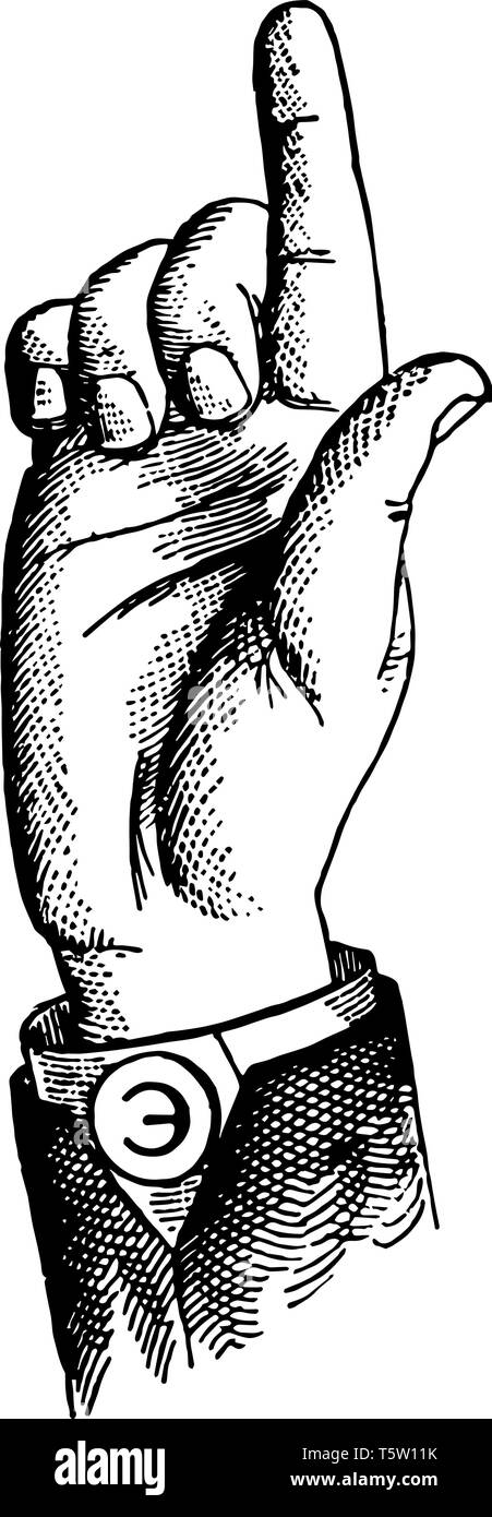 Primary organs hi-res stock photography and images - Alamy