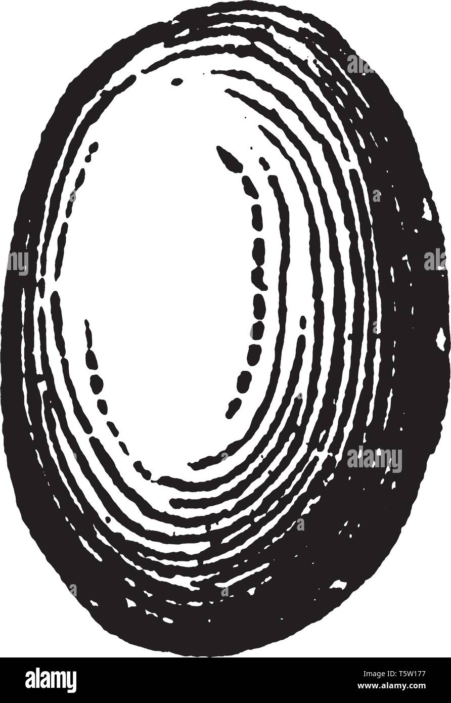 Pollen Stock Vector Images - Alamy