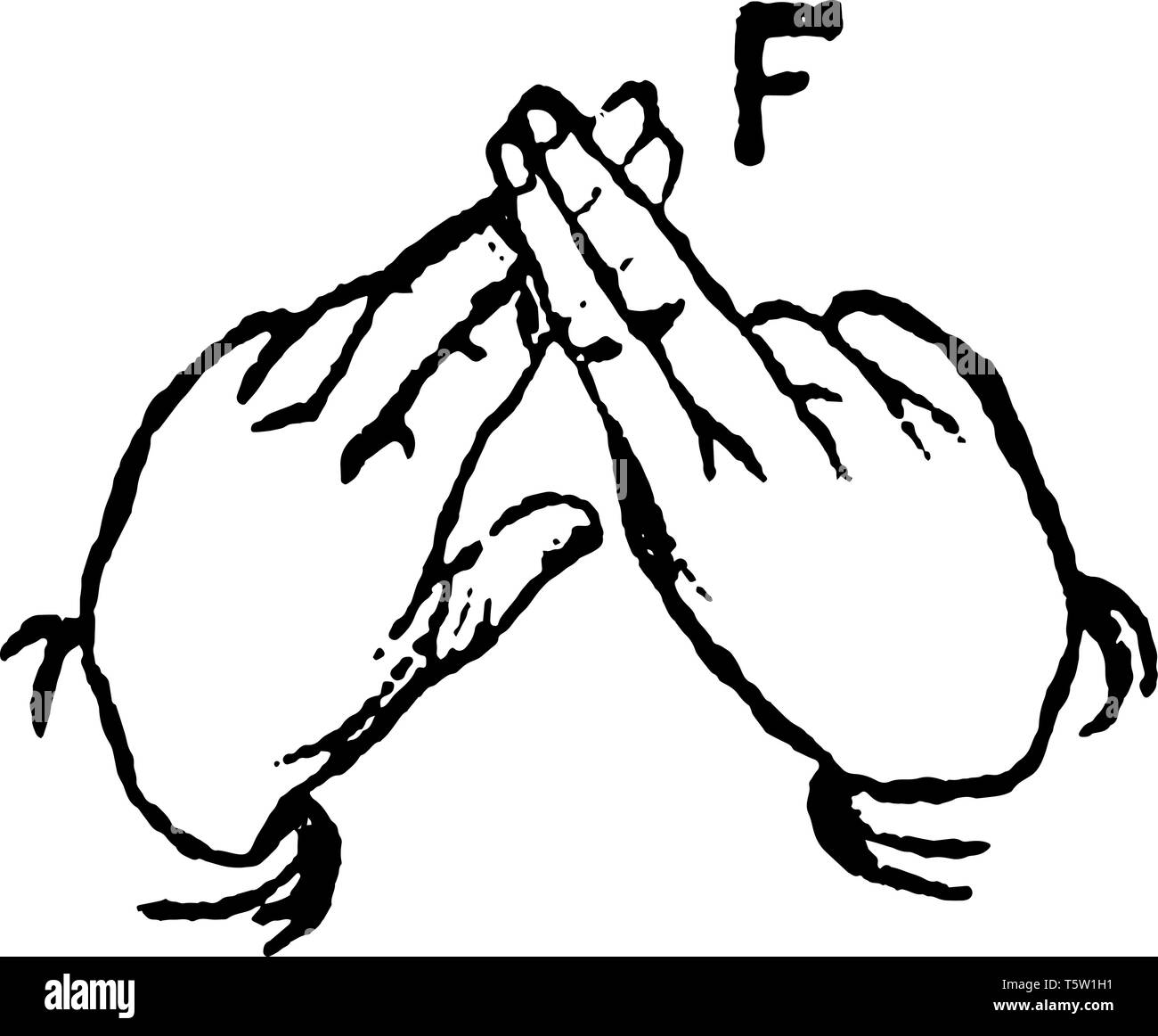 This image shows the sign of two hands for F, vintage line drawing or ...