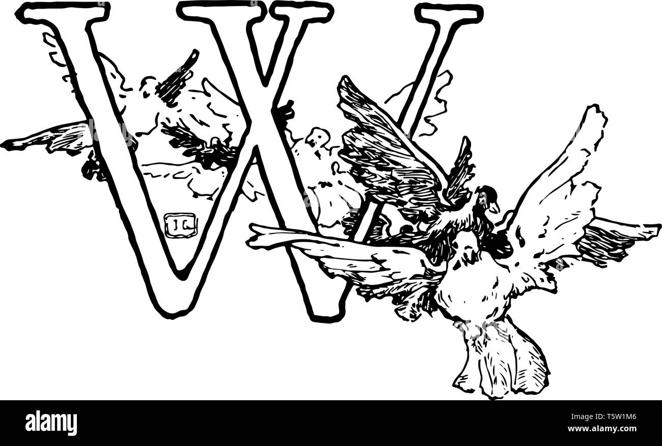 This picture includes the letter W. Letter having the double border ...