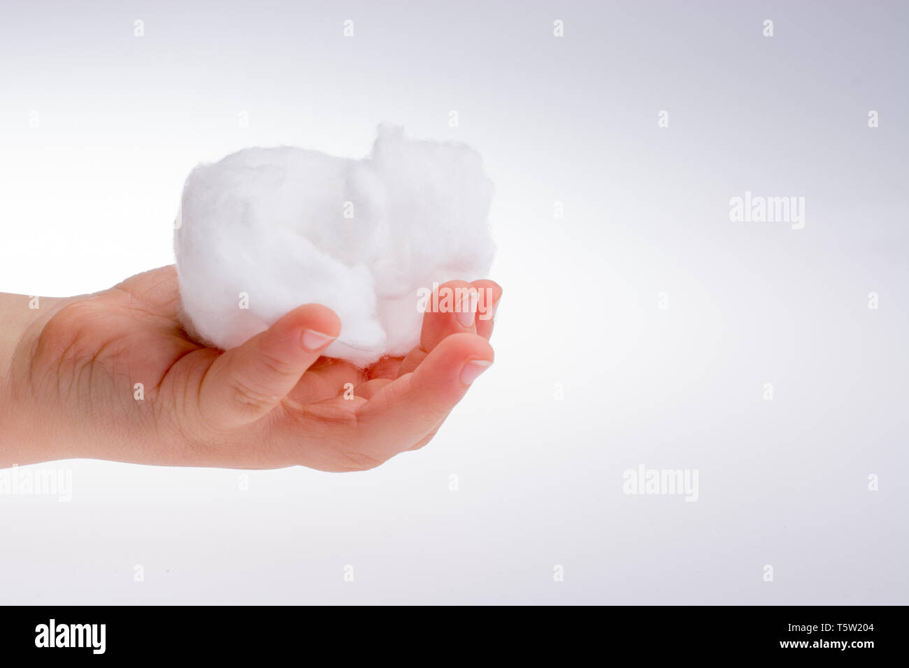 Hand holding some cotton in hand on a white background Stock Photo - Alamy